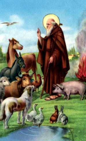 17. siječnja - Sveti Antun, opat | Sv. Antun Padovanski Rijeka